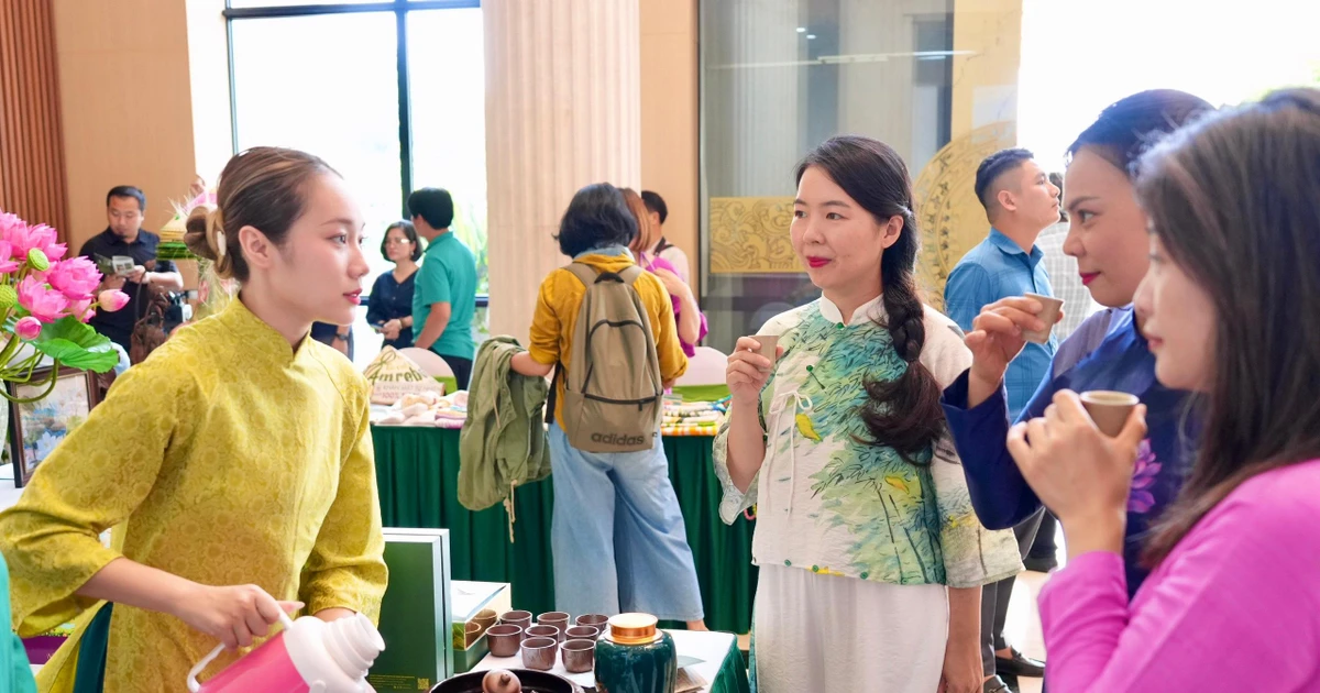 Bảo tồn và phát triển hoa sen Việt Nam trên địa bàn Thủ đô Hà Nội | Báo ...