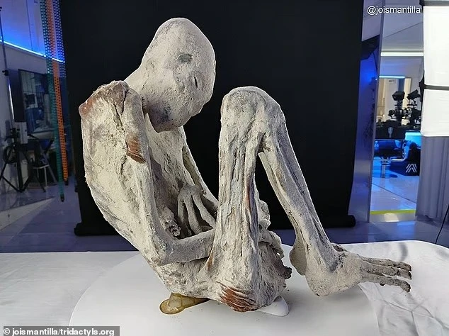 Phát hiện sốc: Thai nhi trong tử cung xác ướp 3 ngón ở Peru | Báo Giáo ...